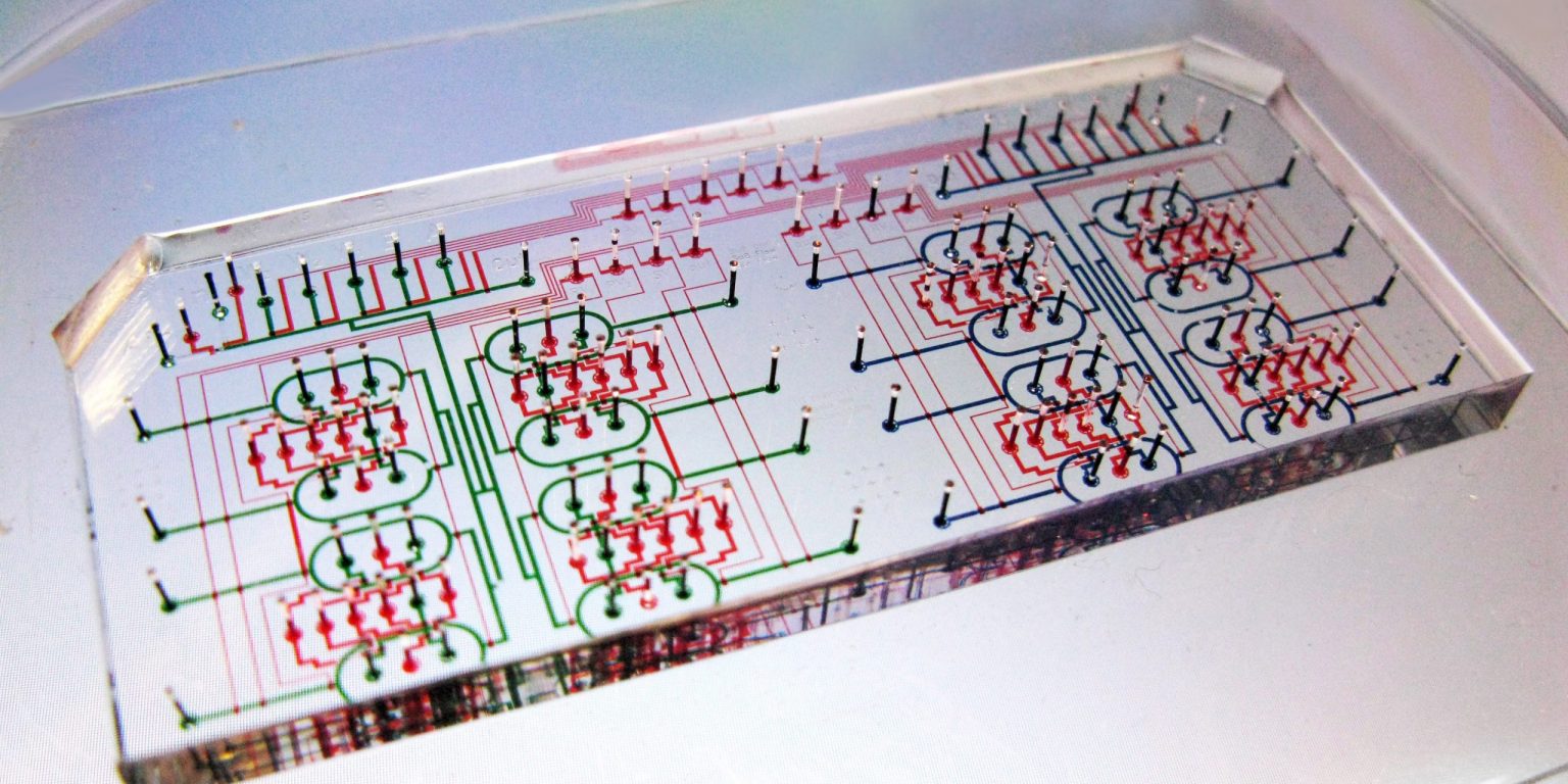 wu lab – bioengineering @ HKUST
