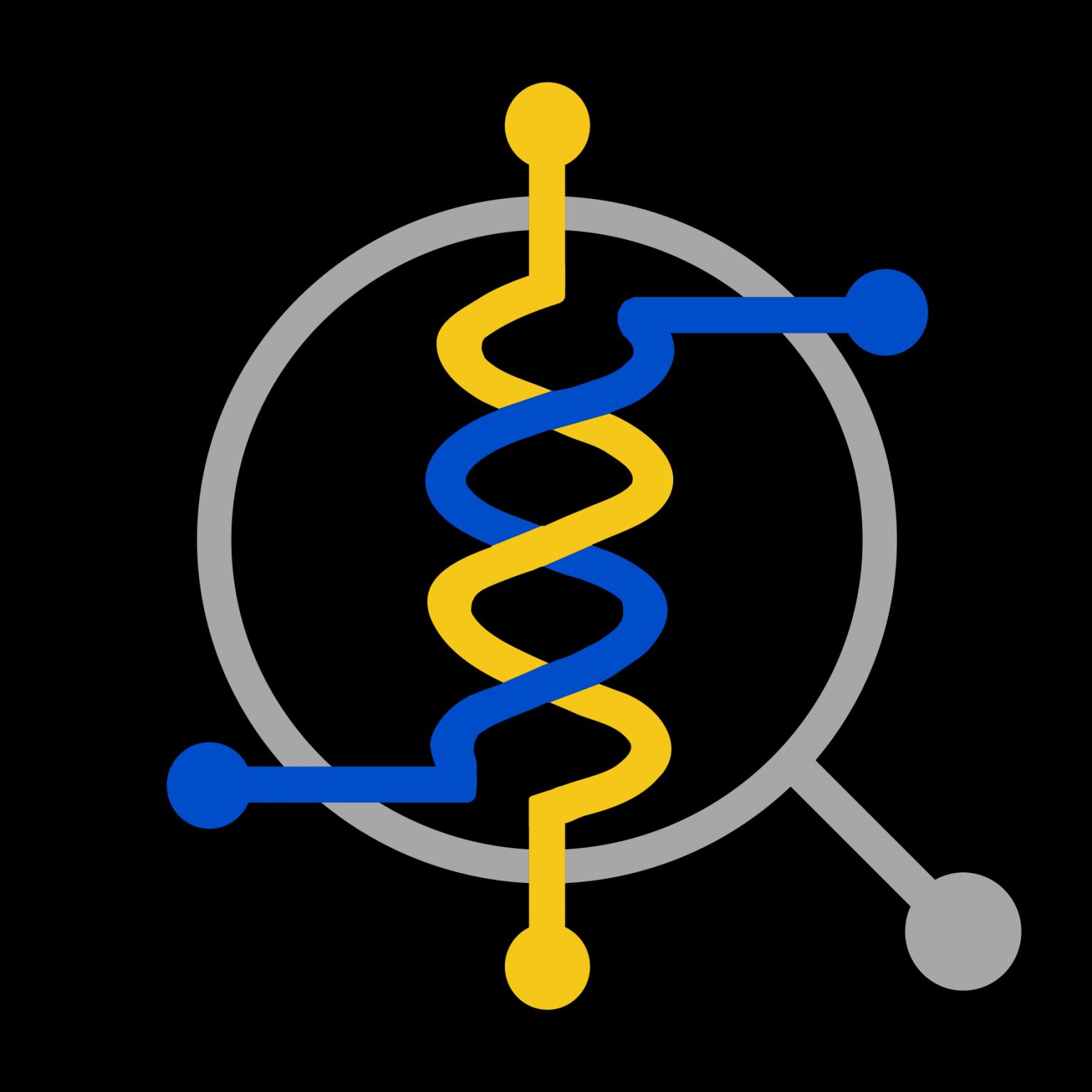 Publications – wu lab